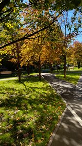 Yıldızlar bahçesi (Republic of Tatarstan, City of Kazan, Public Garden Zvyozdny), kültür ve eğlence parkları  Kazan'dan