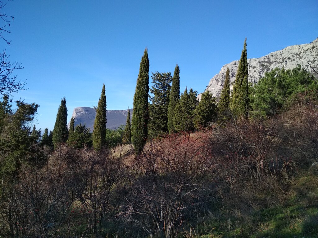 Dağ geçidi Laspin Pass, Sevastopol, foto