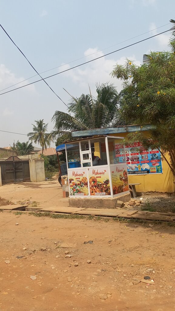 Dondurulmuş gıda firmaları Nyame Ye Cold Store, Akra, foto