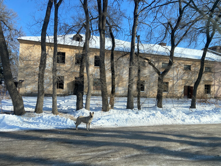 Turistik yerler Dom Ofitserov, Lesozavodsk, foto