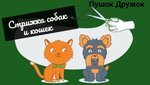 Fluff Buddy (ulitsa Borovykh No:31, Kursk), evcil hayvan kuaförleri  Kursk'tan