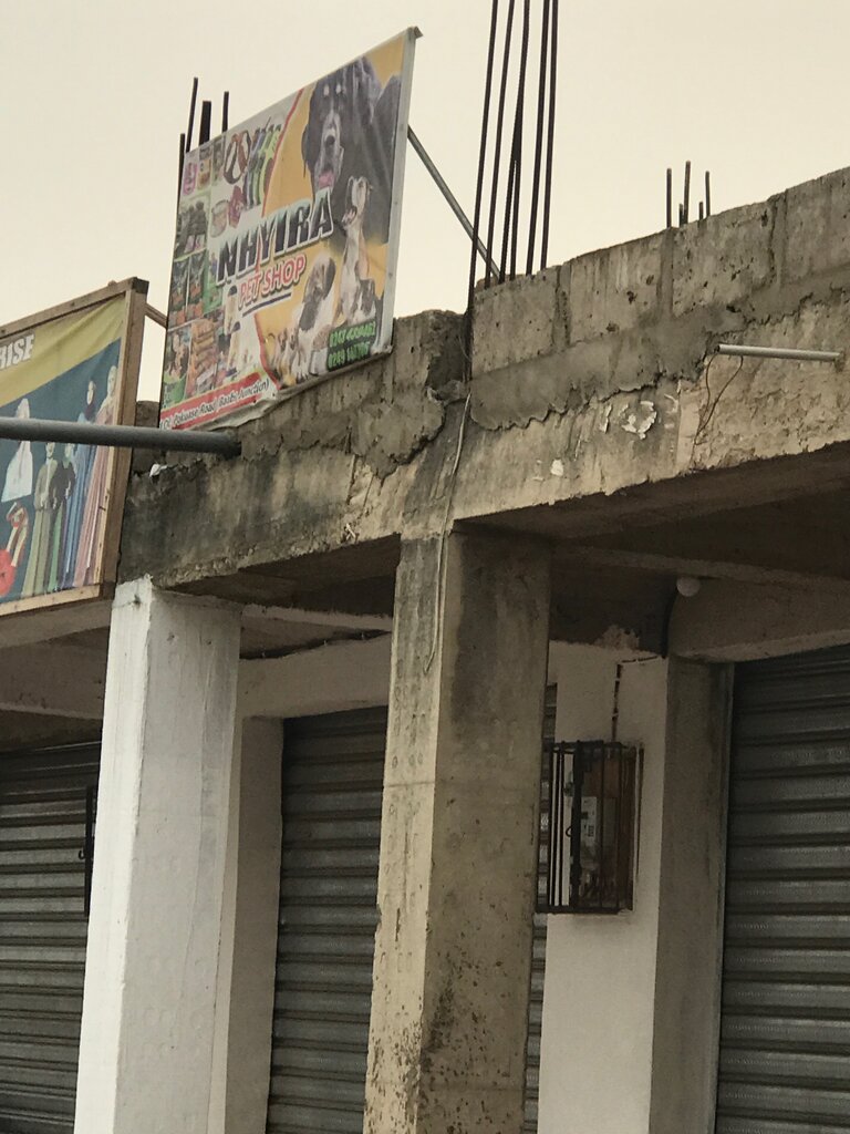 Petshop Nhyira, Dünya, foto