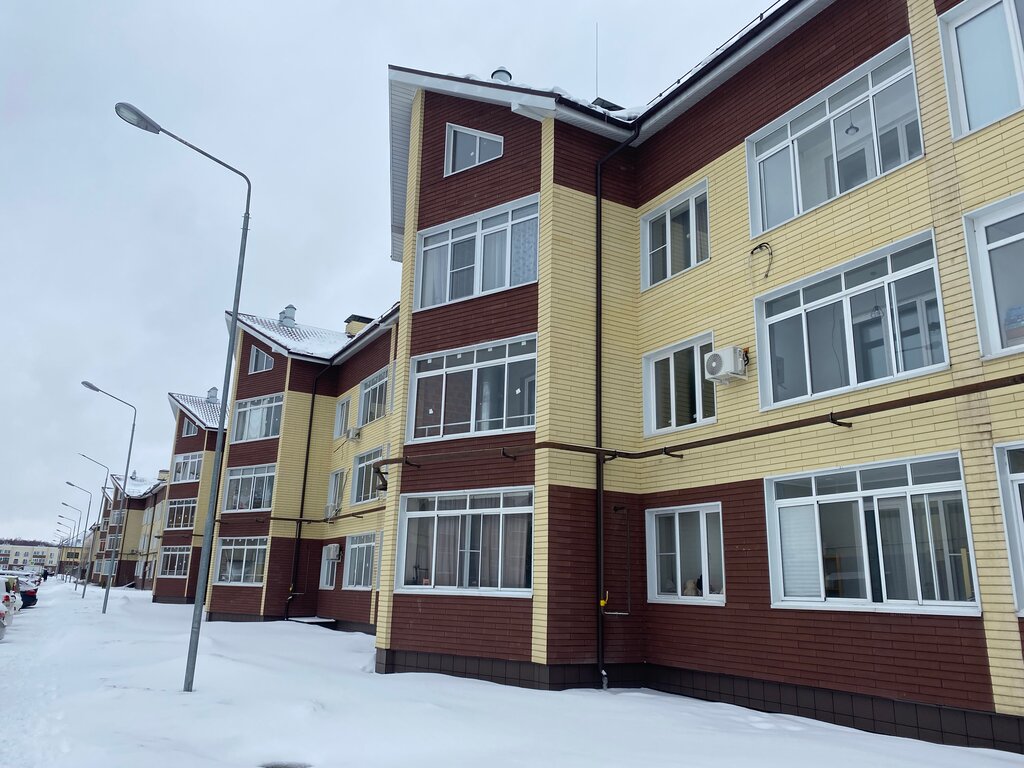 Süpermarket Pyatyorochka, Moskova ve Moskovskaya oblastı, foto