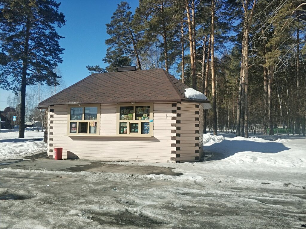 Market Киоск продовольственных товаров, Novosibirsk, foto