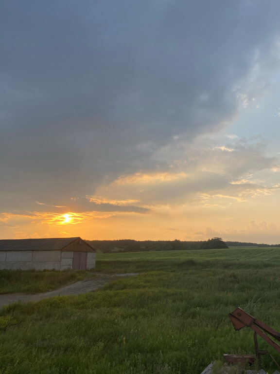 Hayvancılık Крестьянское фермерское хозяйство, Mordovya, foto