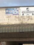 PJ's General Dealer (Chilimbulu Road No:95A, Chilenje), market  Zambiya'dan