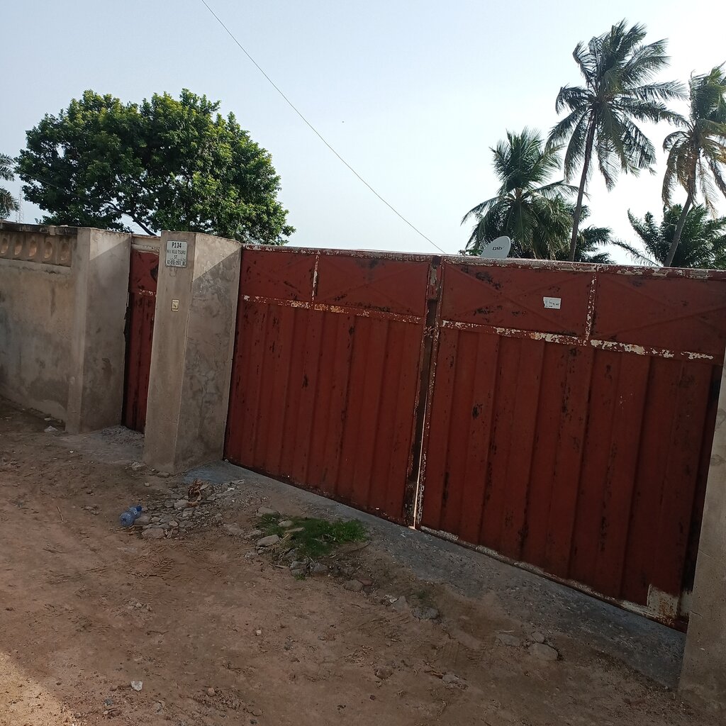 Restoran Blissful Bites, Dünya, foto