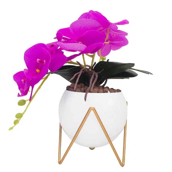 Çiçekçiler Spring Rose Plants and Flowers Trading, Dubai, foto