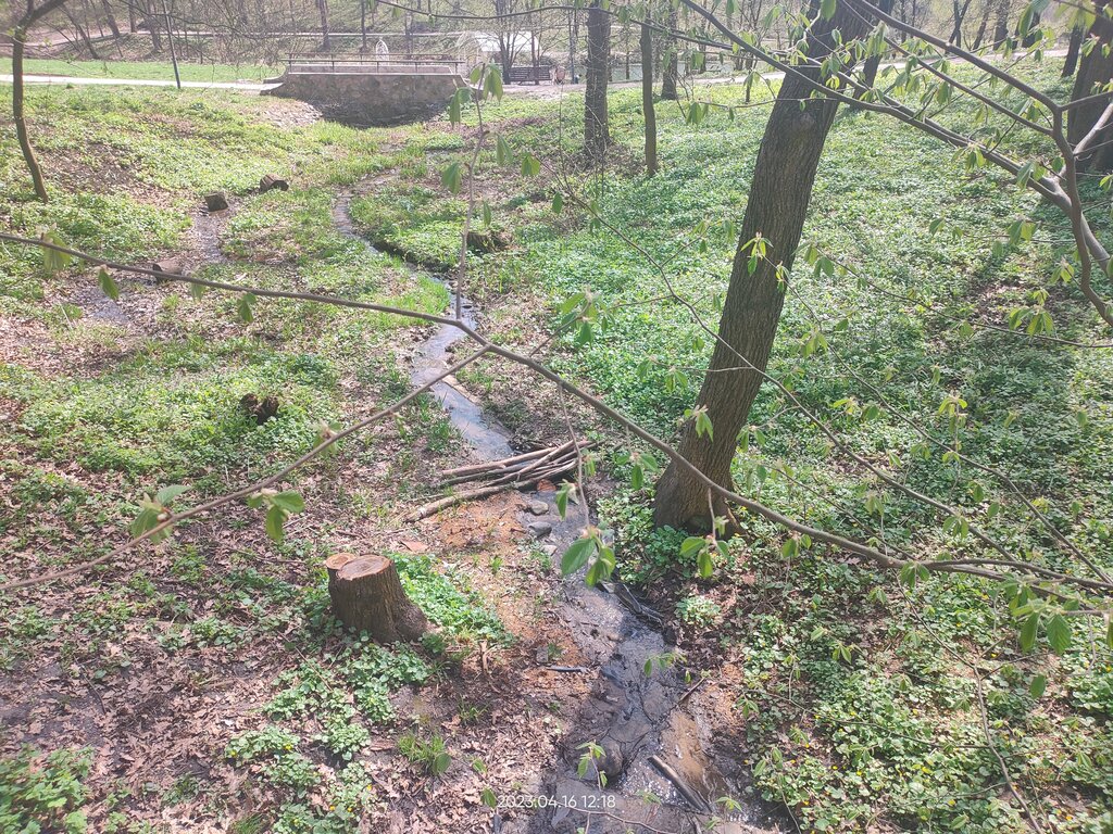 Pınar, çay Spring, stream, Belgorodskaya oblastı, foto