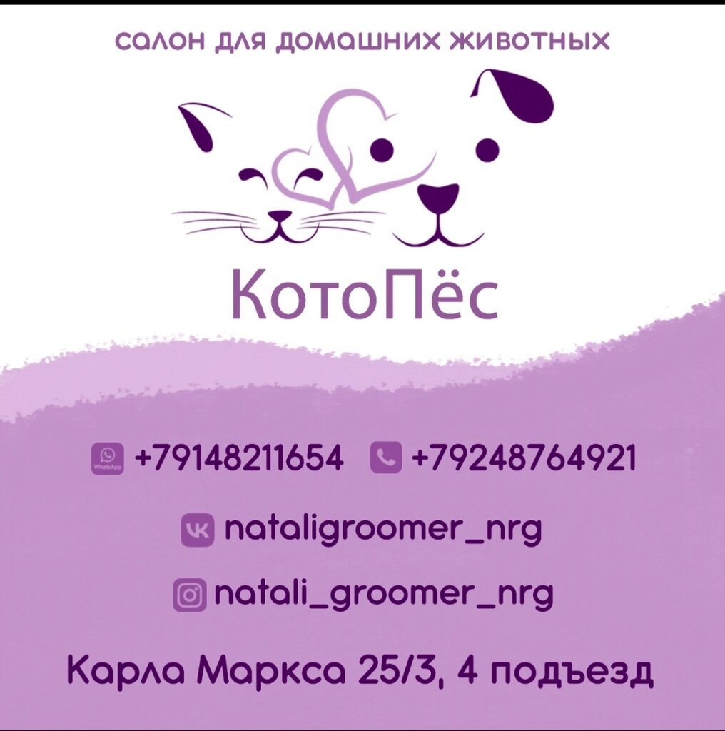 Evcil hayvan kuaförleri КотоПёс, Nerungri, foto