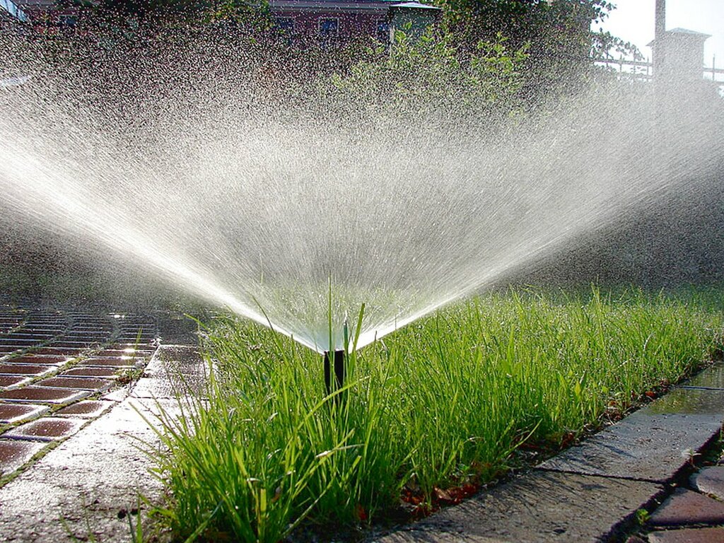 Peyzaj tasarımı Автополив54, Novosibirsk, foto