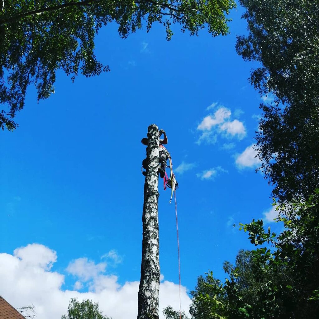 Şehir planlama DerevOff, Çehov, foto