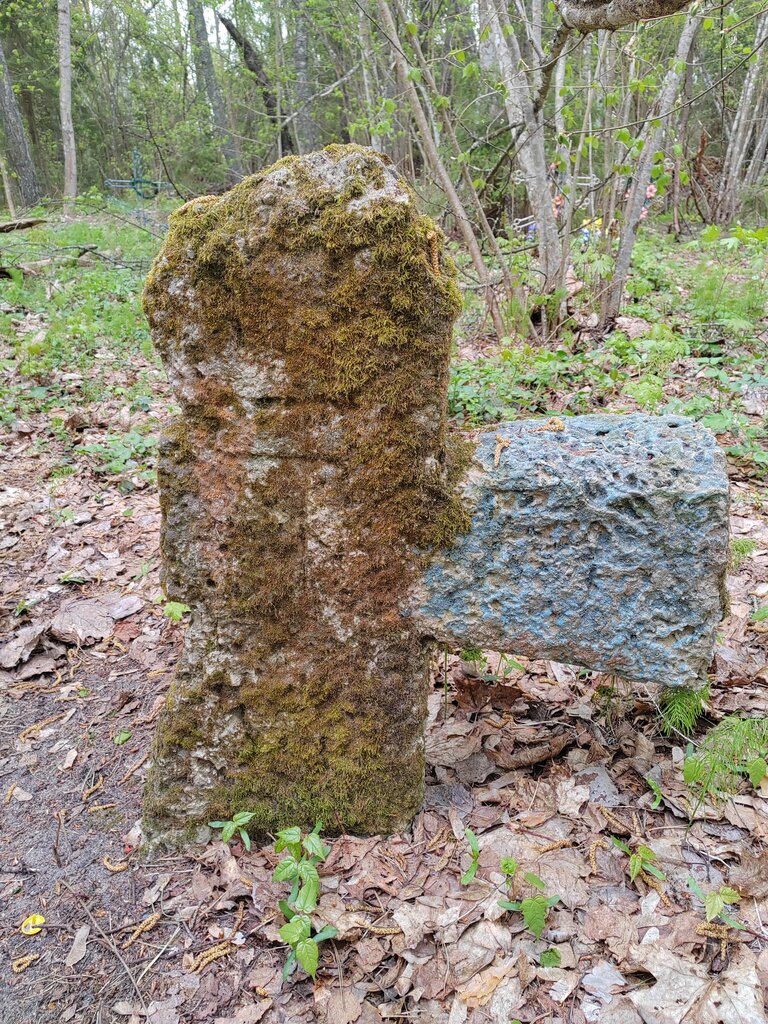 Turistik yerler Городище Коложе, Pskovskaya oblastı, foto