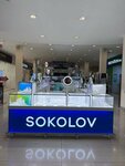 Sokolov (Moldavskaya ulitsa No:16), kuyumcular  Çeliabinsk'ten