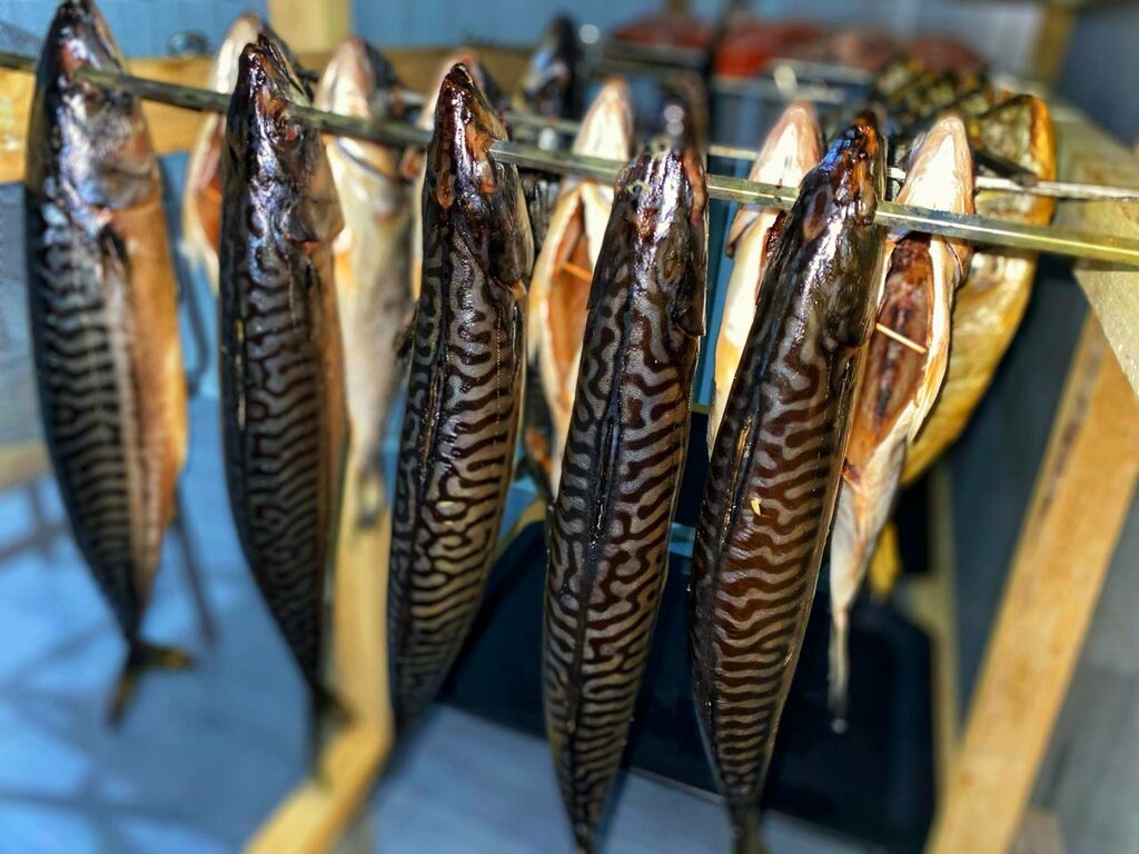 Balık ve deniz ürünleri FishKa Alanya, Alanya, foto