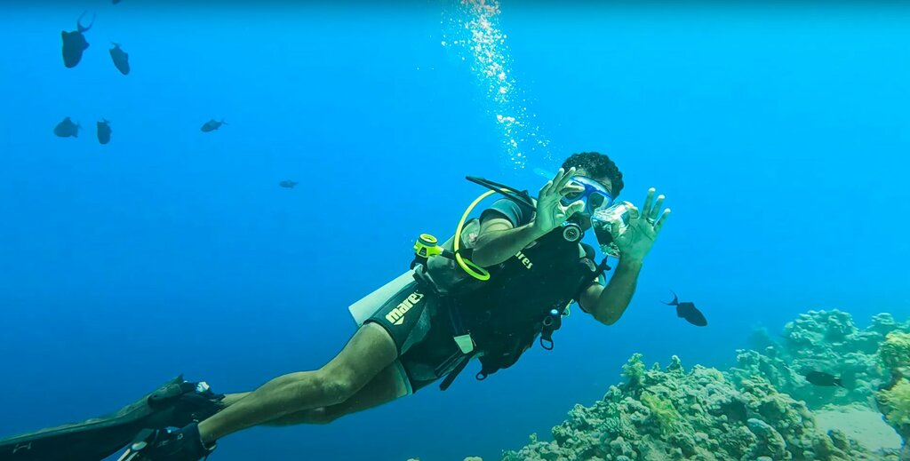 Dalış kulüpleri ve eğitim merkezleri Sharm Wave, Şarm El‑Şeyh, foto