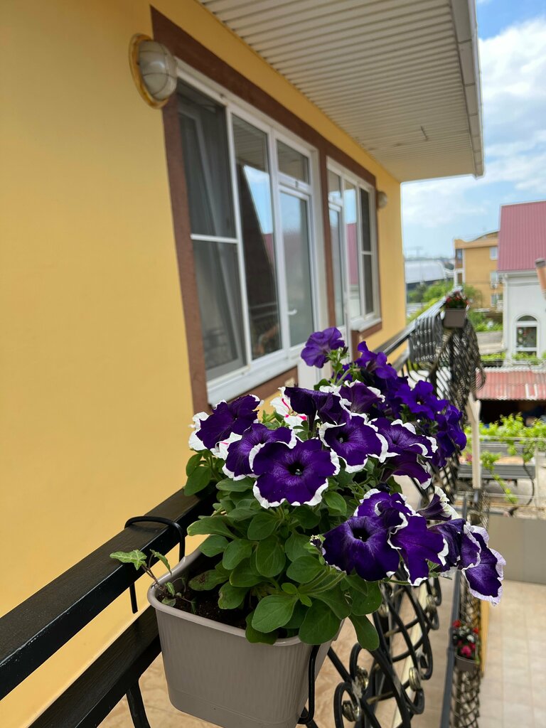 Otel Gostevoj Dom Viktoriya, Krasnodarski krayı, foto