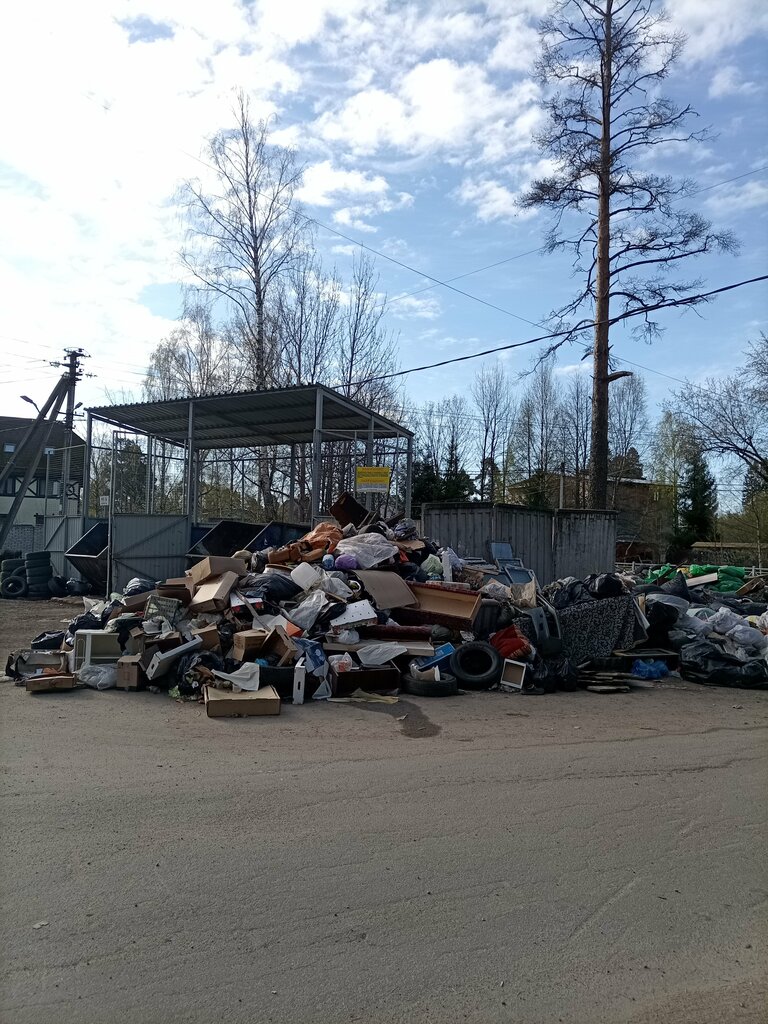 Çöp alanları Trash and garbage disposal area, Vsevolgsk, foto