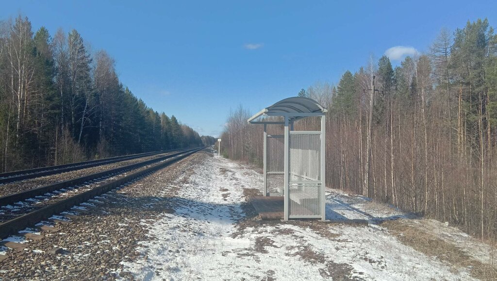 Tren istasyonu остановочный пункт 1141 километр, Arhangelskaya oblastı, foto