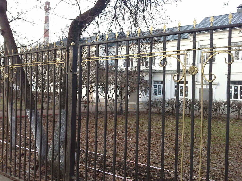 Lise Lomonosovsky litsey, Noginsk, foto