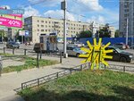 Студия цветов Базилик (Sovetskaya Street No:62), çiçek teslimatı  Novosibirsk'ten