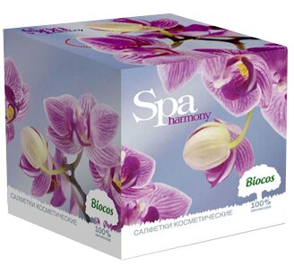 Temizlik ürünleri Taydi-City, Vidnoye, foto