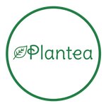 Plantea (ulitsa Pankratova No:73), çay mağazaları  Vologda'dan