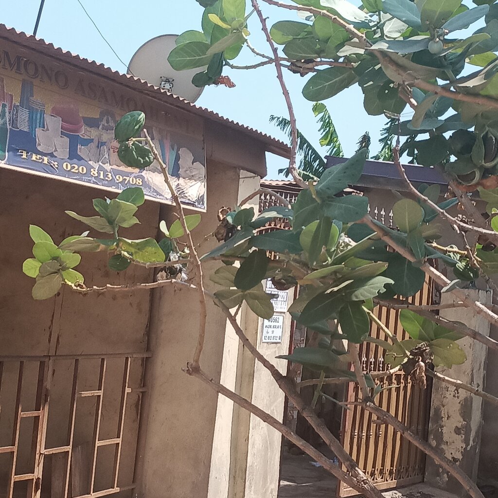 i̇nşaat firmaları Omono Asamoah Ent, Dünya, foto