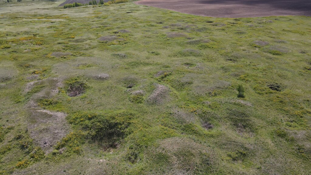 Doğa Ландшафтно-геологический и археологический памятник природы Старо-Ордынский рудник, Orenburgskaya oblastı, foto