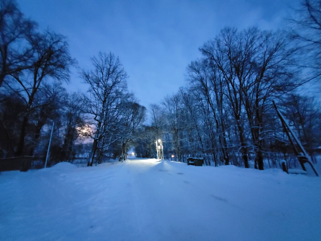 Kültür ve eğlence parkları Парк усадьбы Боровская, Saint‑Petersburg ve Leningradskaya oblastı, foto