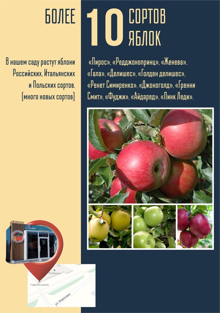 Market Сады Мичурина, Kropotkin, foto