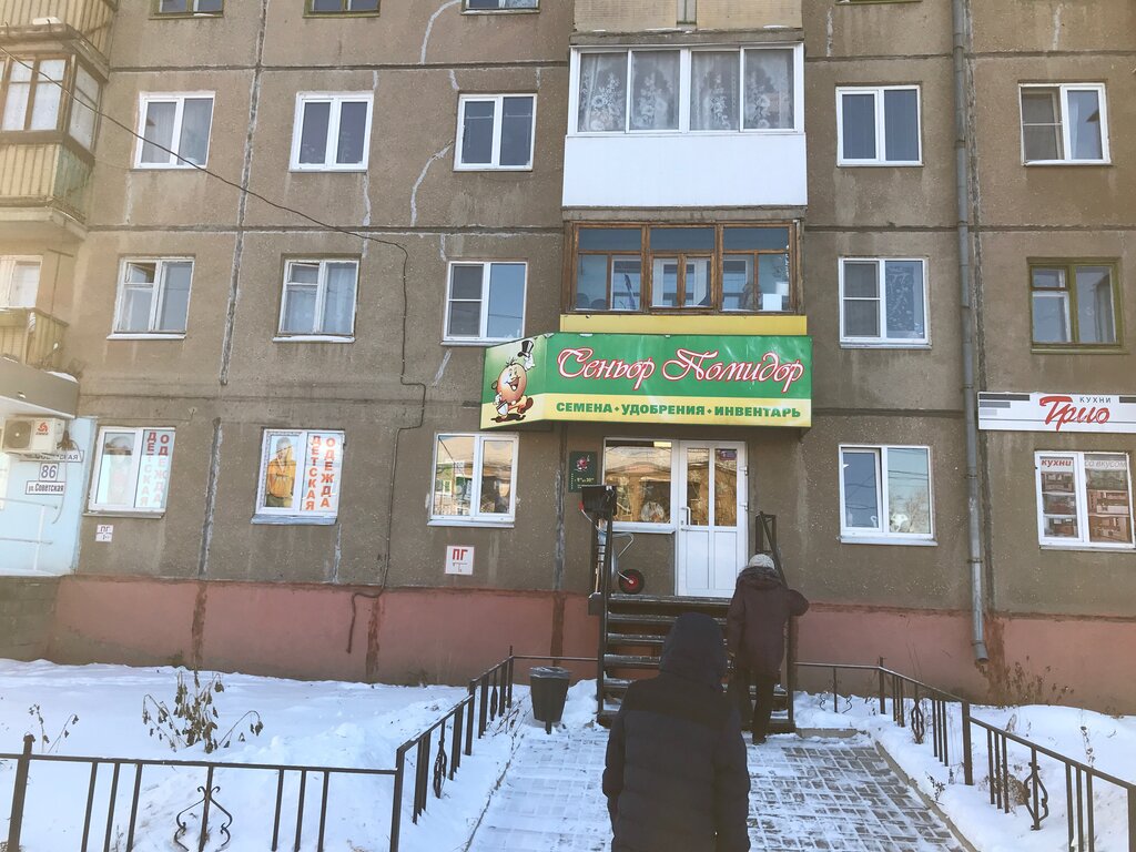 Tohum satan yerler Сеньор Помидор, Magnitogorsk, foto