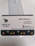 Babacan Pet Shop (Ankara, Etimesgut, Şeyh Şamil Mah., Nihat Öztay Cad., 9B/I), petshop  Ankara'dan