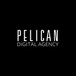 Pelican (Kuratova Street No:73/6), web tasarım hizmetleri  Syktivkar'dan