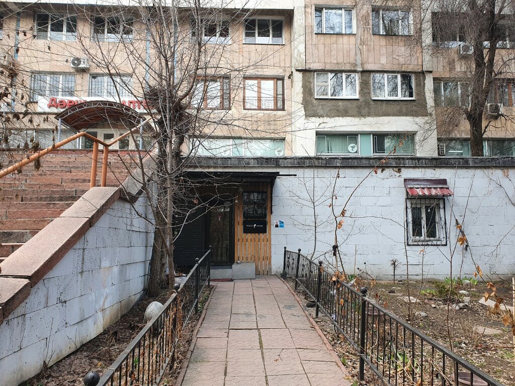 Terziler White Shark, Almatı, foto