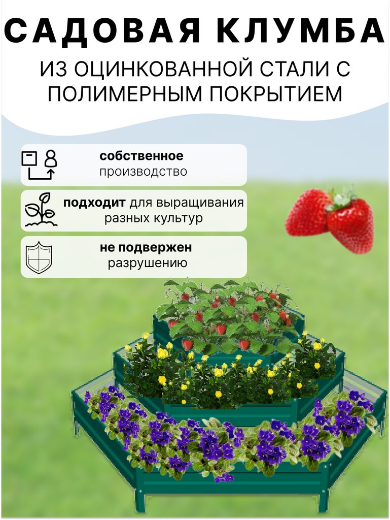 Sera ekipmanları Грядки садовые, Moskova ve Moskovskaya oblastı, foto