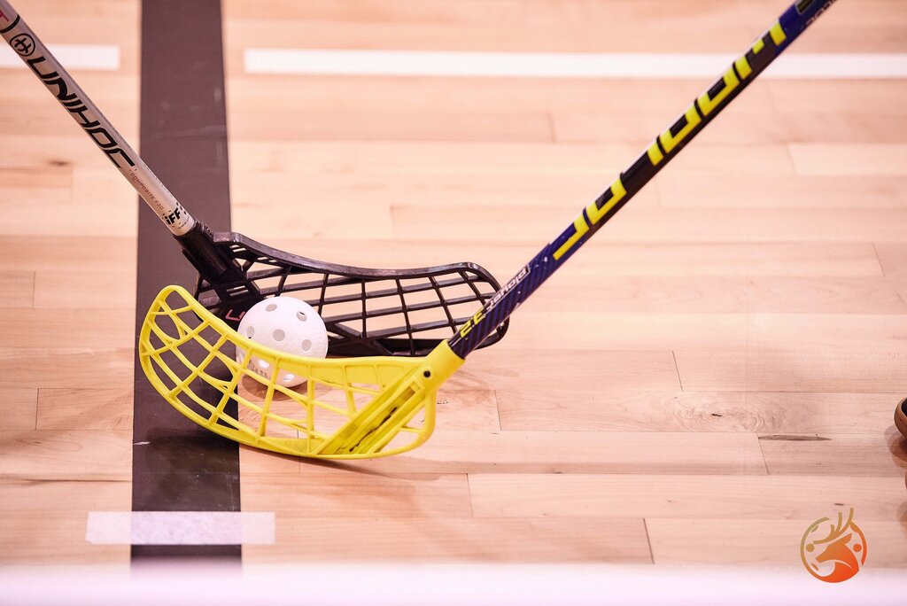 Spor kurumları National Floorball Federation of Russia, Moskova, foto