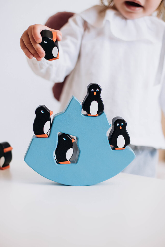 Çocuk oyunları ve oyuncakları Severnyy Igrushechnik, Vologda, foto