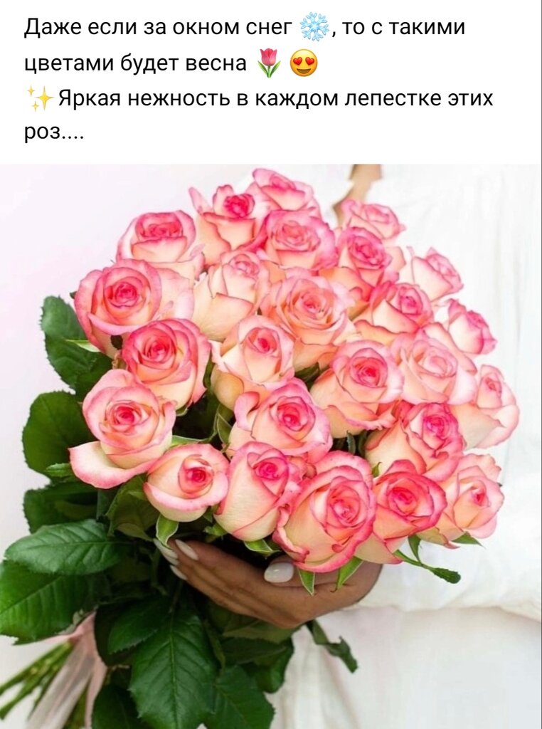 Çiçekçiler Impere Of Flowers, Novoaltaysk, foto