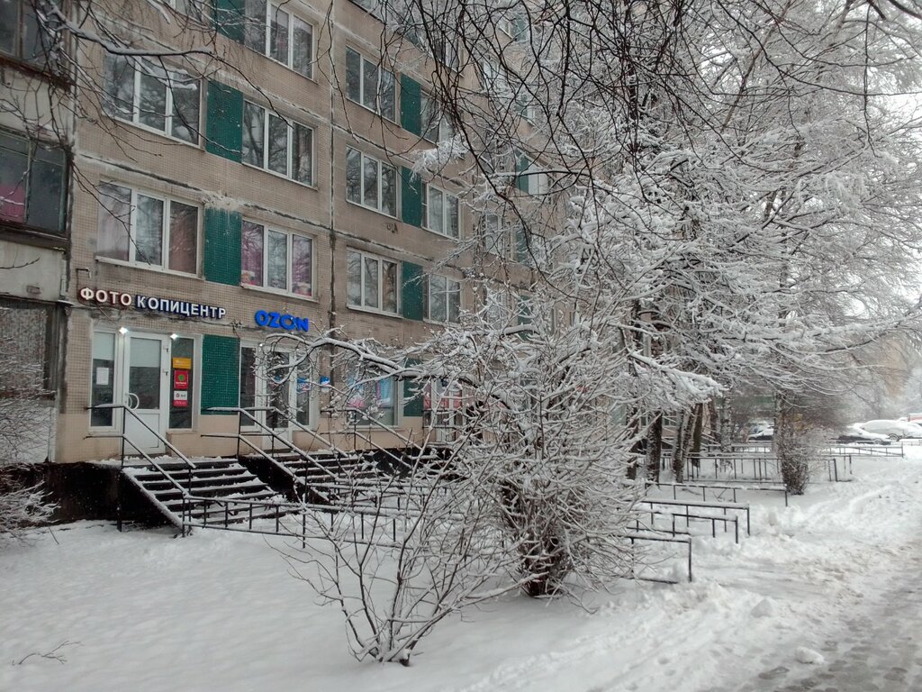Kurye hizmetleri Dpd, Saint‑Petersburg, foto