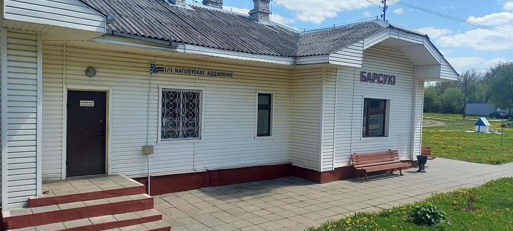 Tren garları Railway station, Mogiliovskaya oblastı, foto