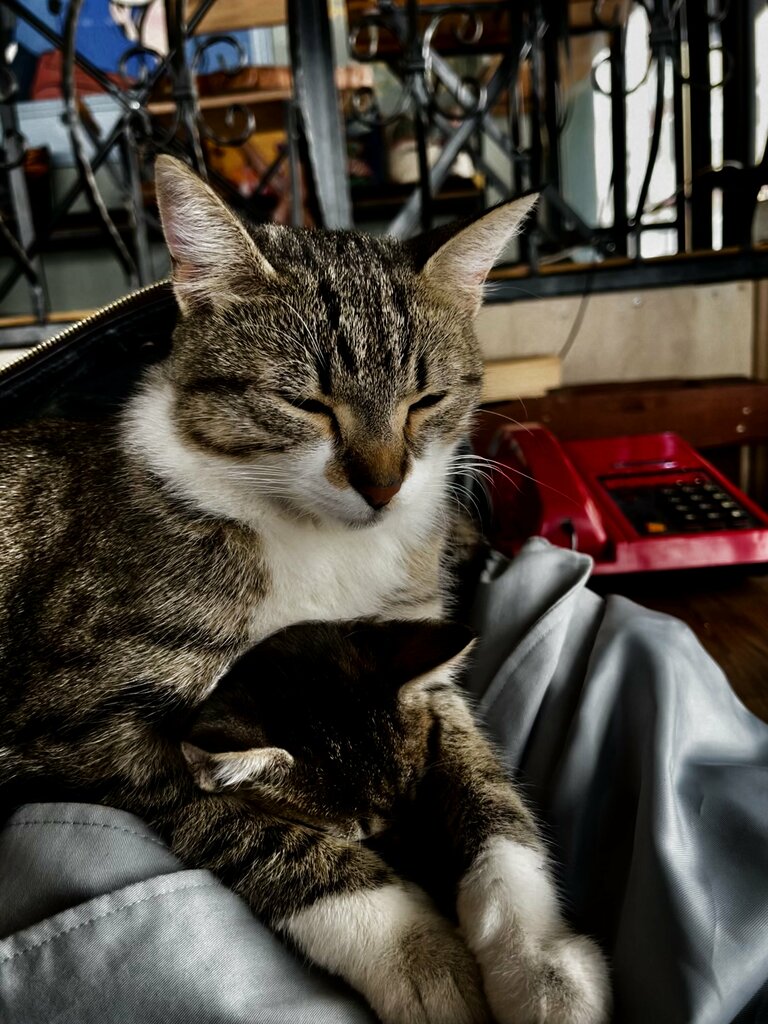 Kafe Routine Coffee, Eskişehir, foto