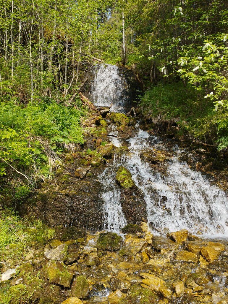 Dağ zirvesi Скала Дивий камень, Permski krayı, foto