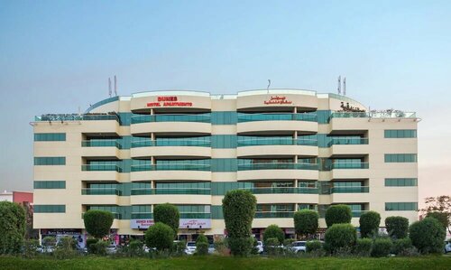 Apex Professional Security Services LLC, sistemas de seguridad y ...