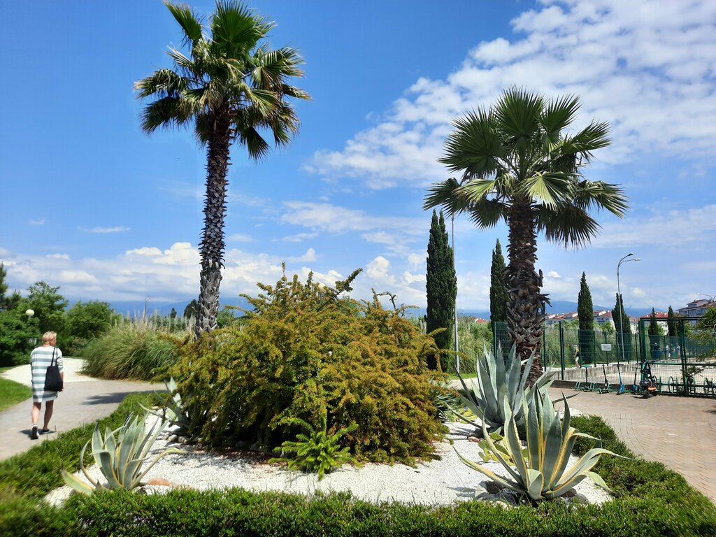 Bilgi standı, onur panosu Редкие и исчезающие виды, Krasnodarski krayı, foto