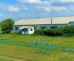 Школа общеобразовательная основная (Shkolnaya ulitsa No:1, posyolok Novosovkhozny), ortaokul  Orenburgskaya oblastından