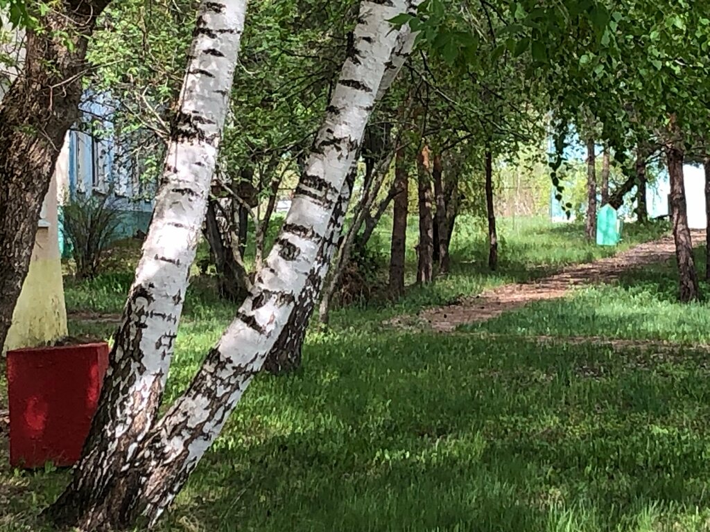 Yaz kampı Tsentr detskogo otdykha im. Yu. A. Gagarina, Saratovskaya oblastı, foto