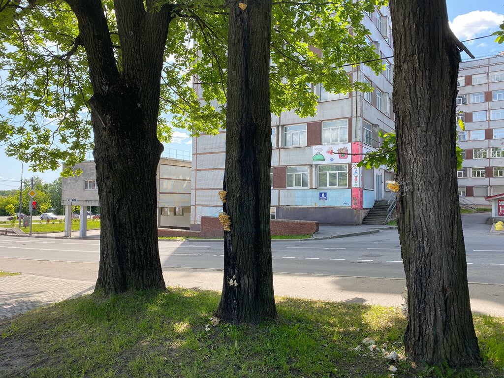 Kültür ve eğlence parkları Rybtsovskiy Square, Cherepovets, foto