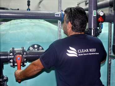 Yönetim ofisi Clear Reef International, Dubai, foto