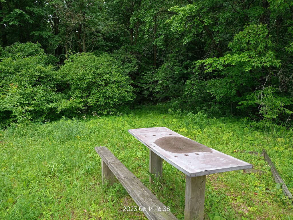 Orman урочище Жерновец, Belgorodskaya oblastı, foto